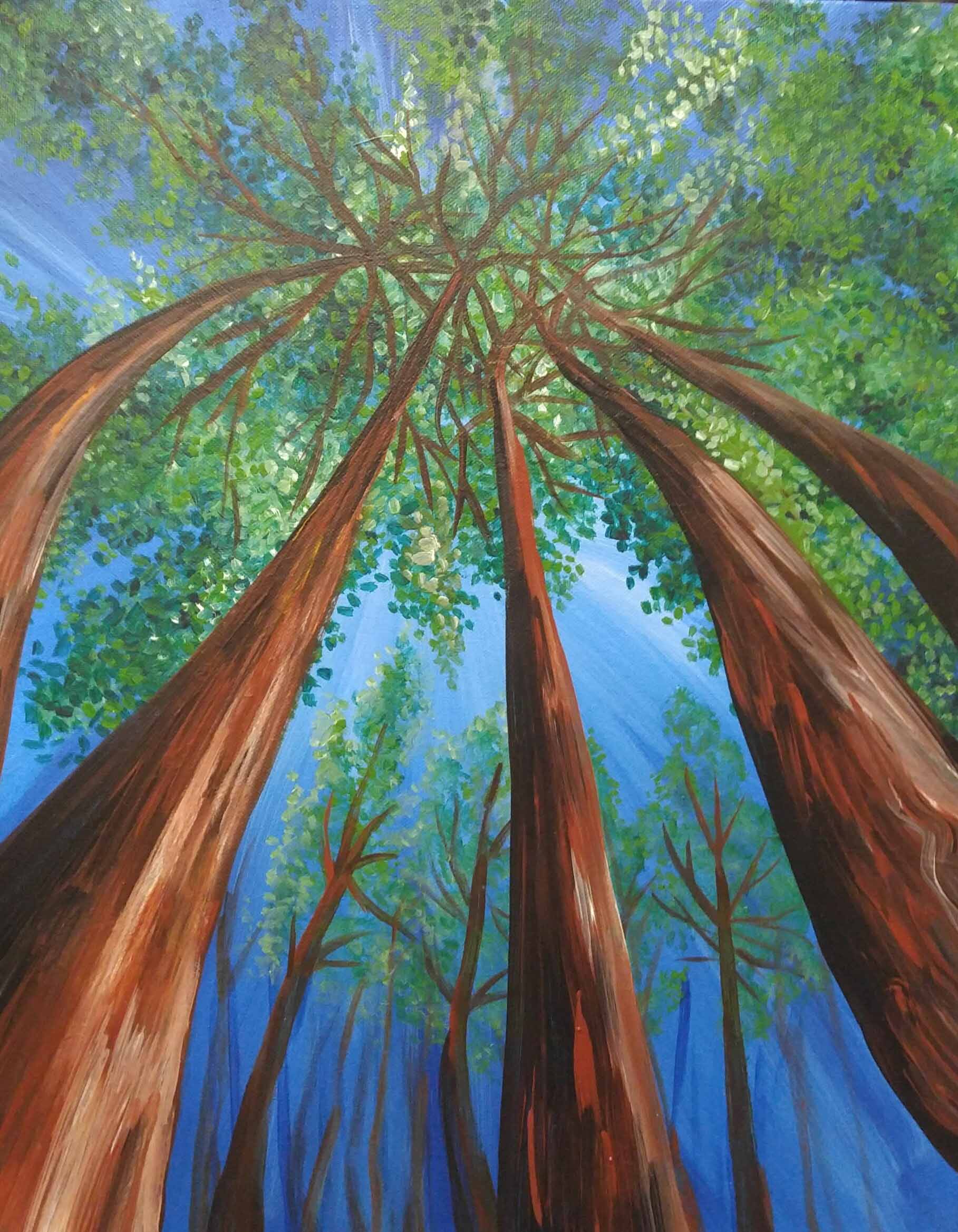 Redwood Forest - Pinot's Palette Painting